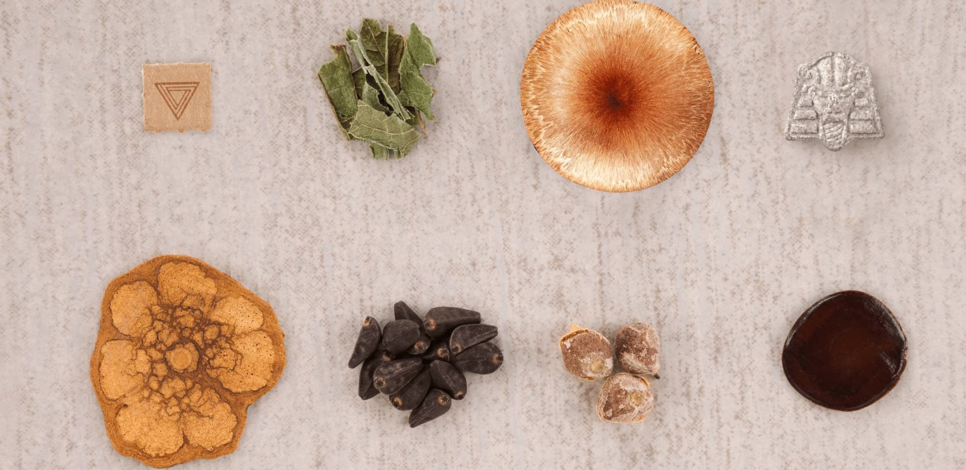 The Many Colors of Psychedelics: 8 Common Ones You Should Know About ...